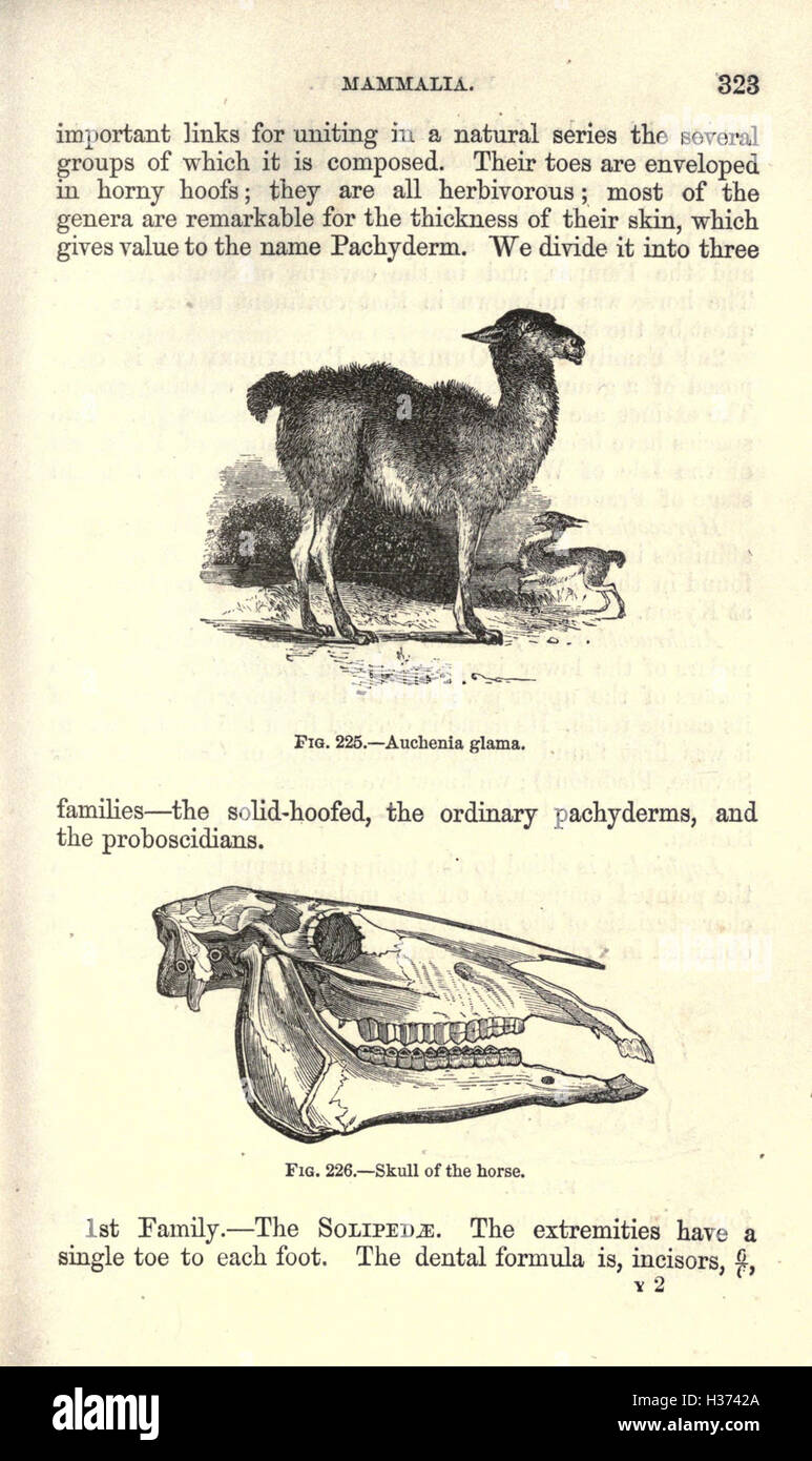 'An Introduction to Geology' covers the fundamental principles of ...