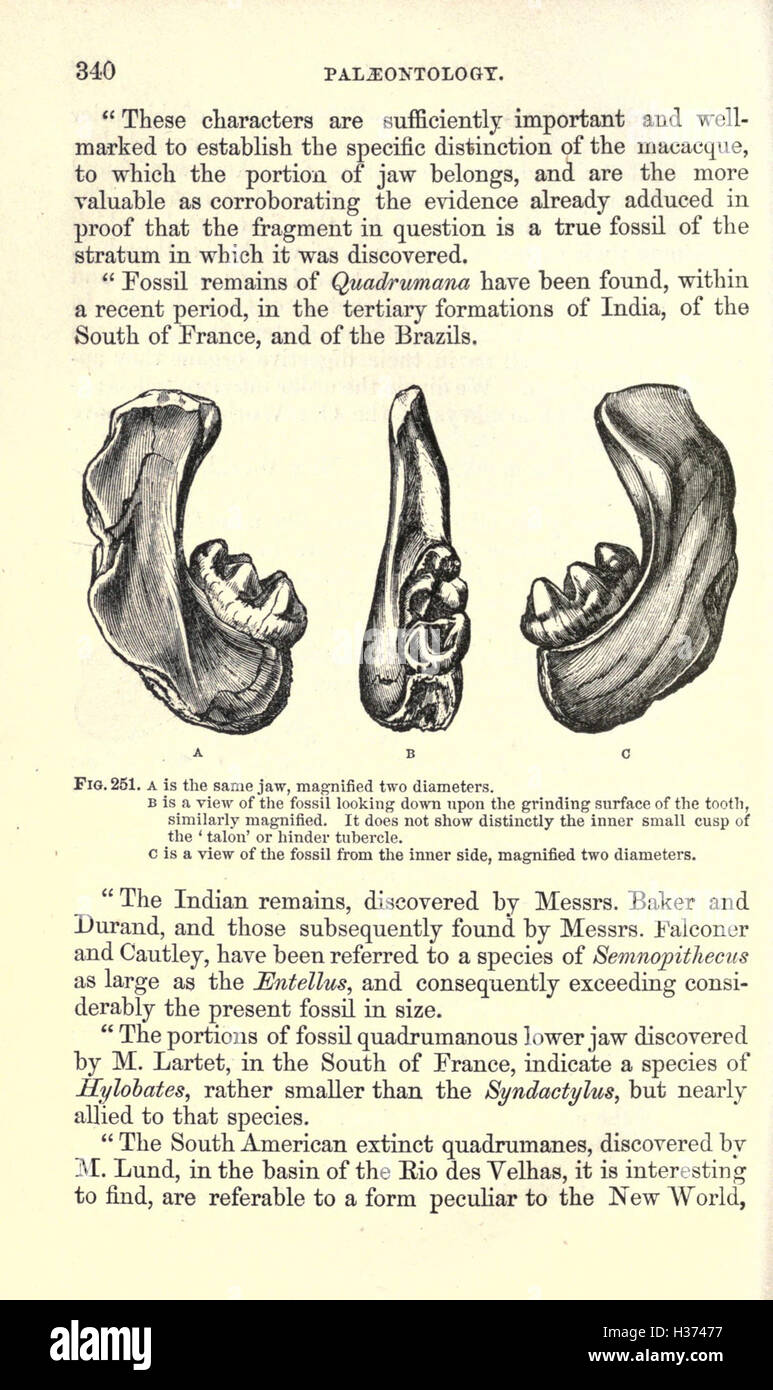 This work introduces the basic concepts of geology, covering Earth’s ...