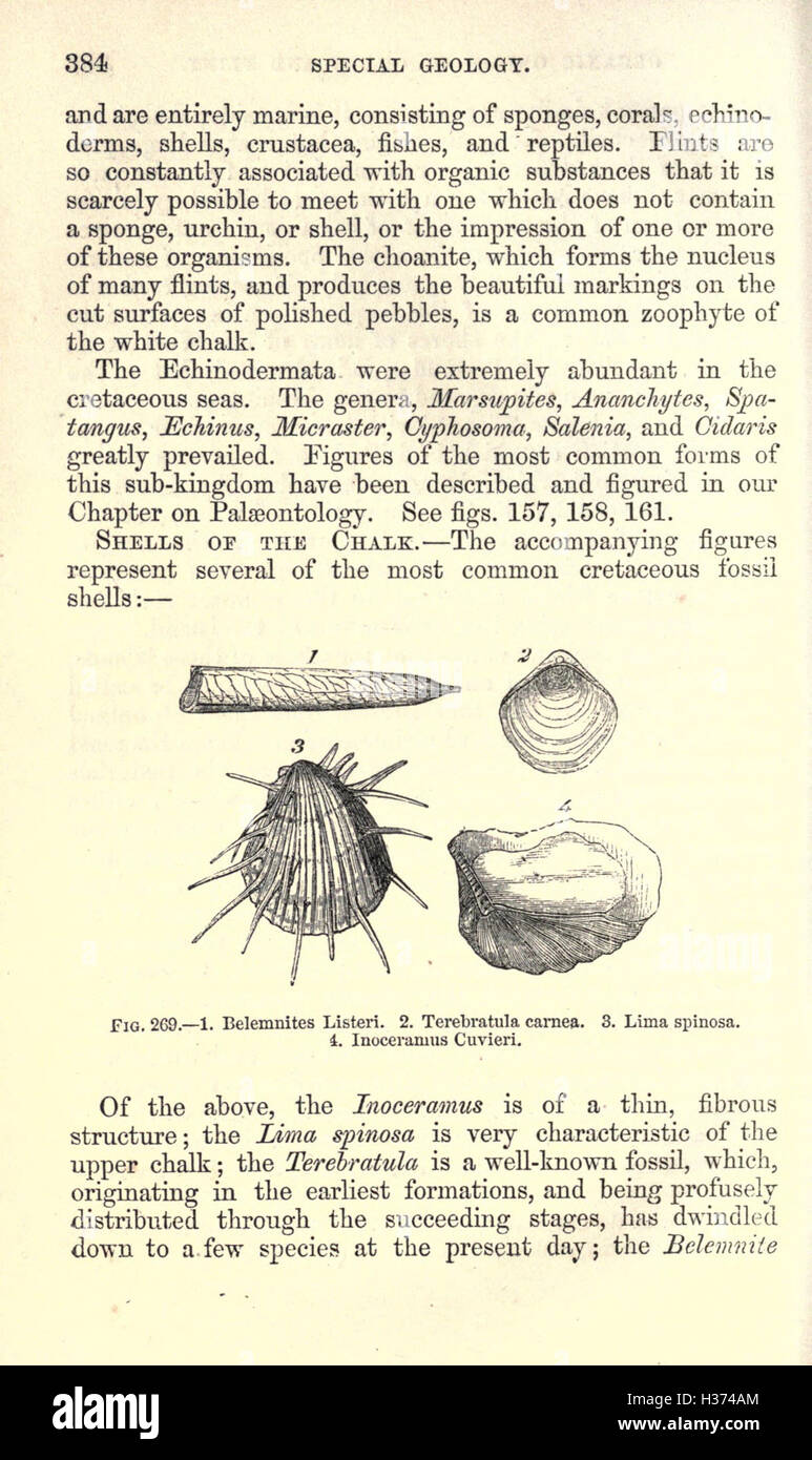 This book provides an overview of geology, introducing key concepts ...