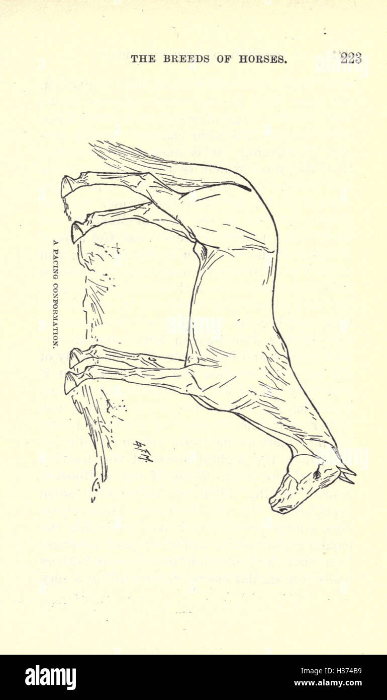 This work discusses the principles of horse breeding, focusing on ...