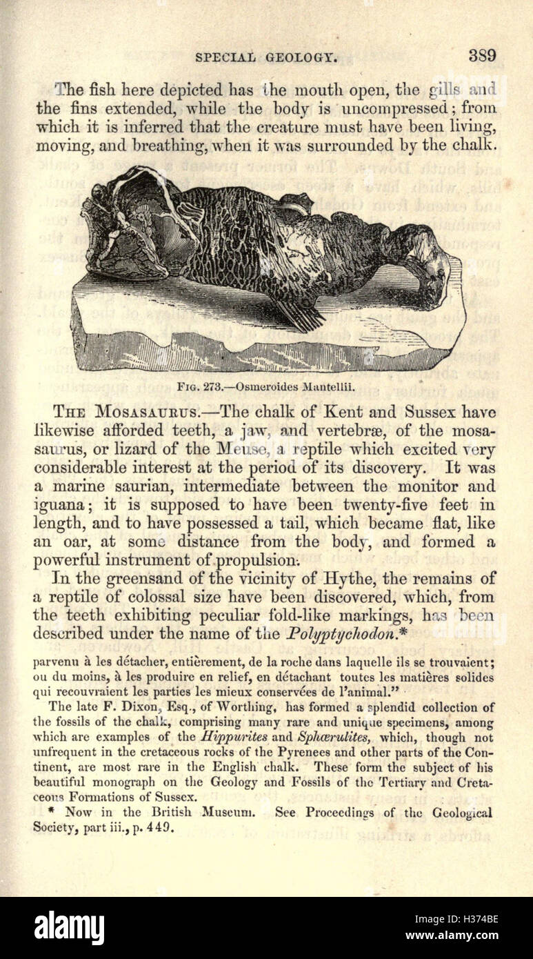 Rock cycle igneous rocks hi-res stock photography and images - Alamy