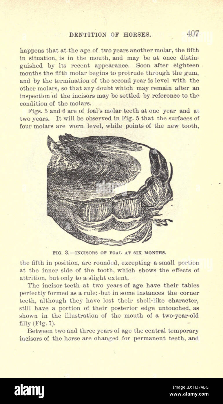 This text covers the principles of horse breeding, including selection ...