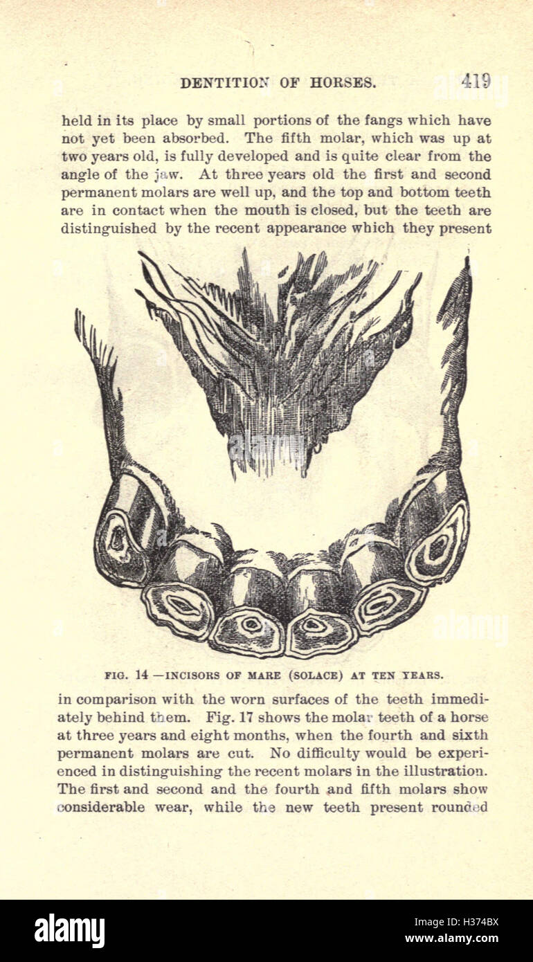 This guide discusses the practices and techniques of horse breeding ...