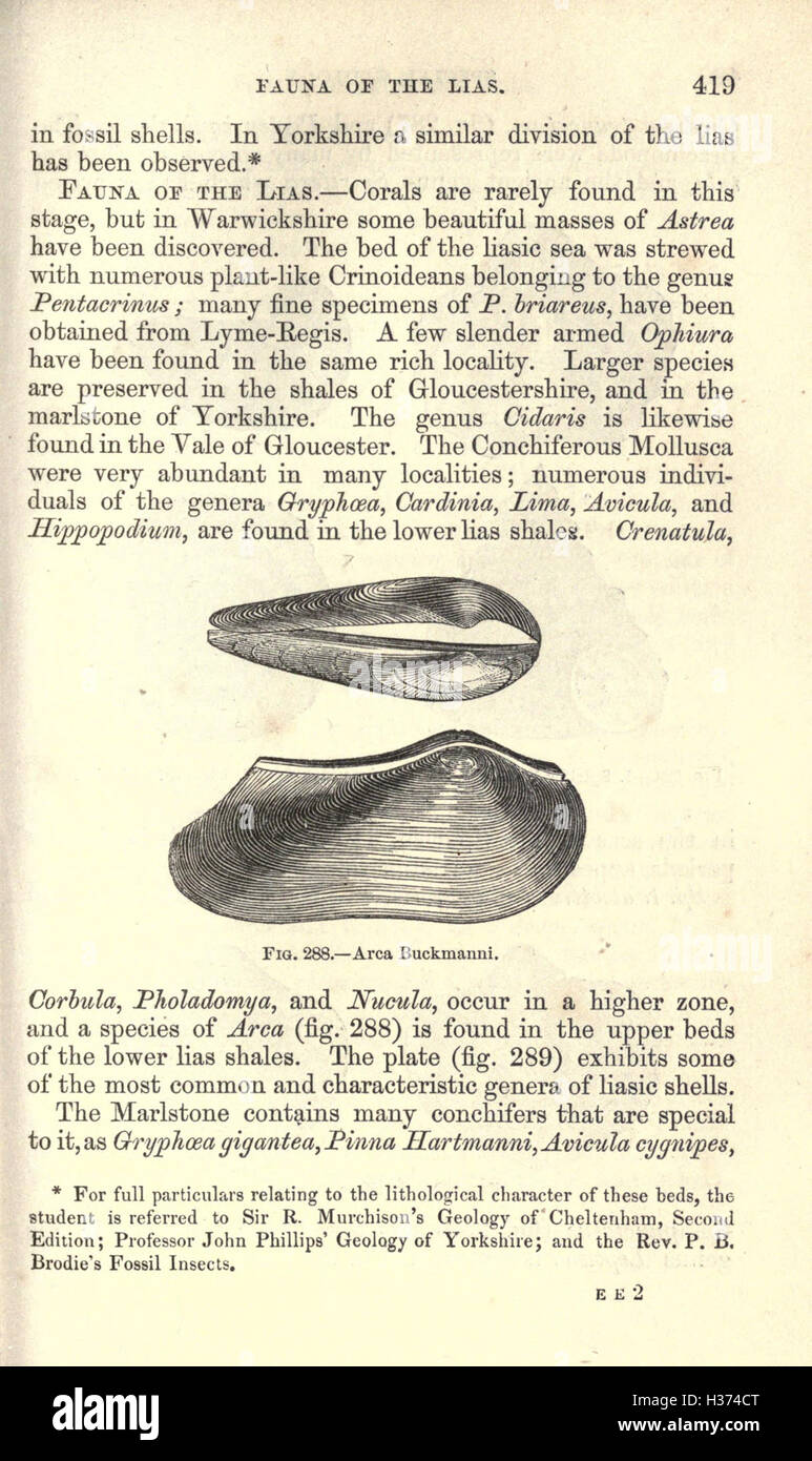 Science rock hi-res stock photography and images - Alamy