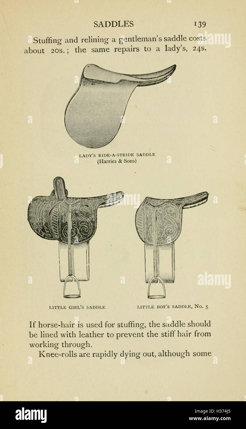 This guide provides insights into horse management, focusing on ...