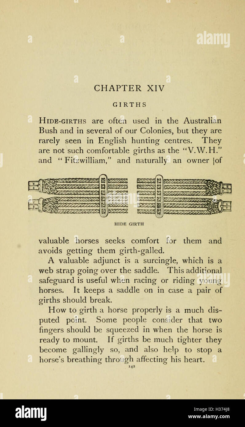 This work examines the relationship between horses, horsemen, and ...