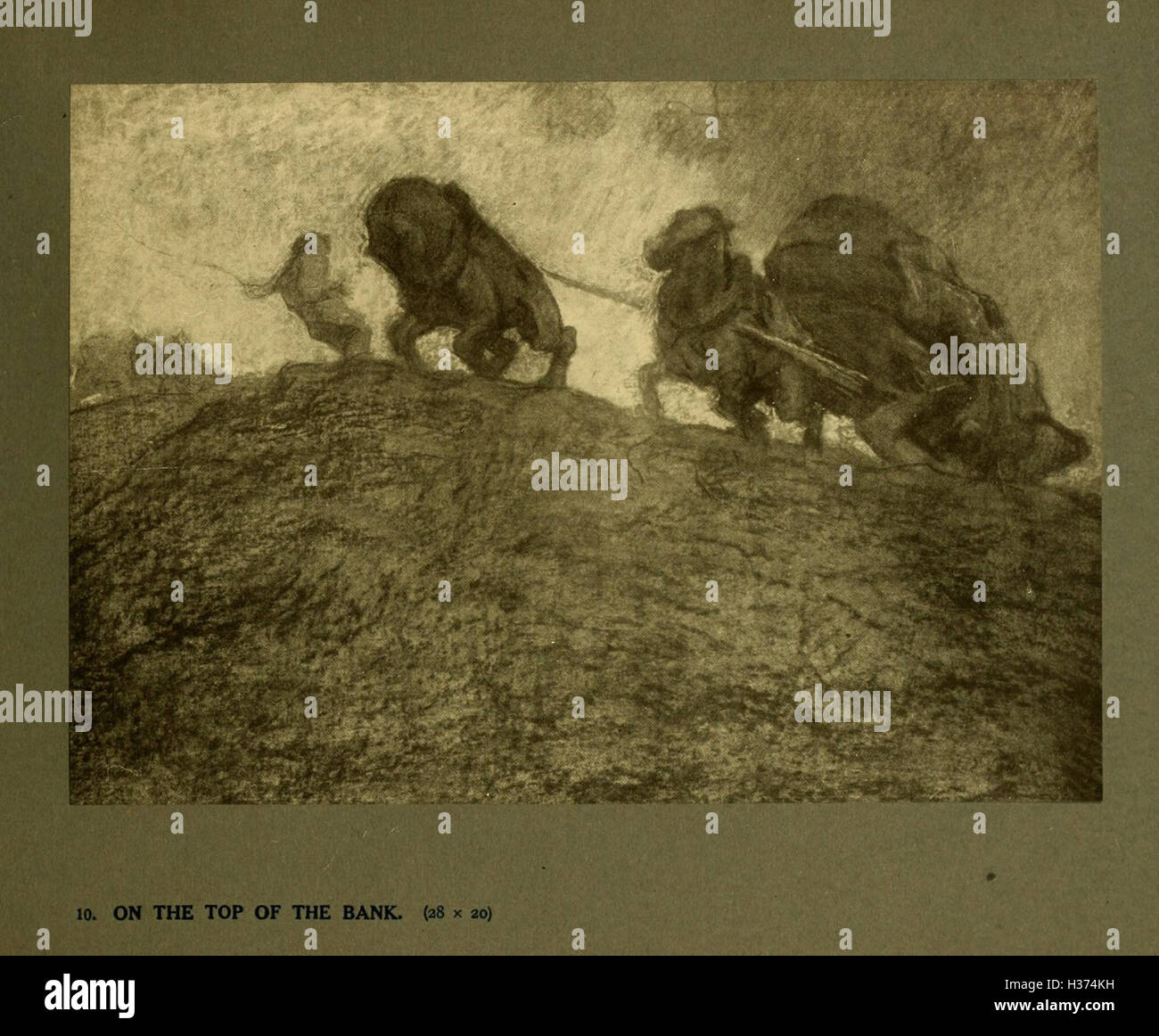 This page illustrates the dynamic movement of horses, focusing on their ...