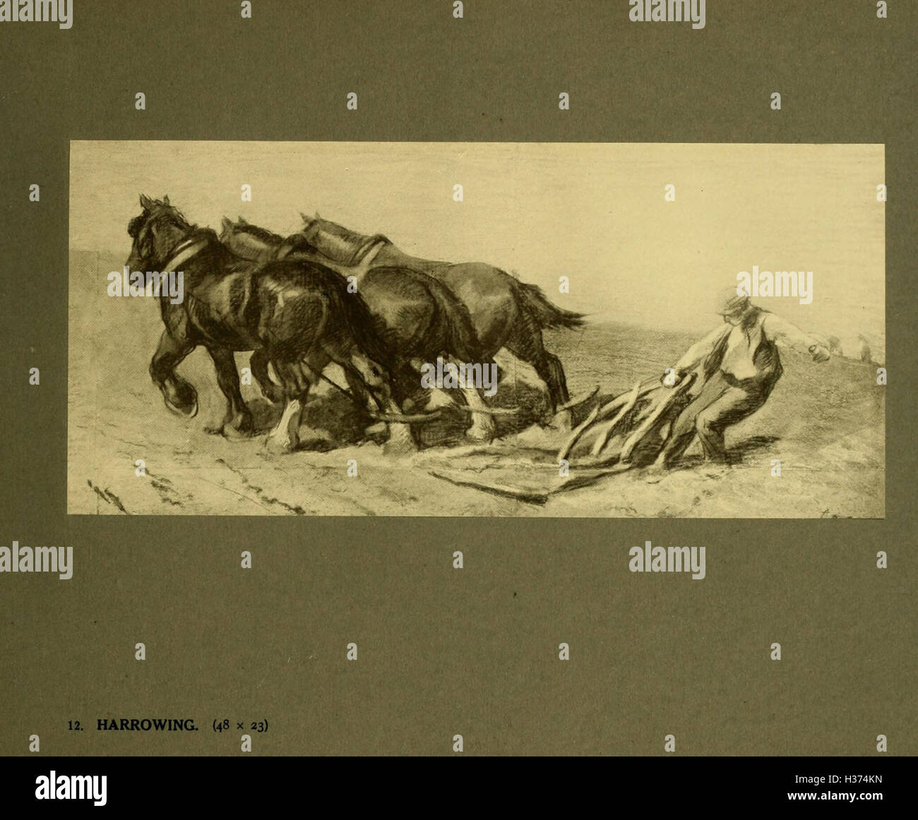 This illustration focuses on the movements of horses, showing various ...