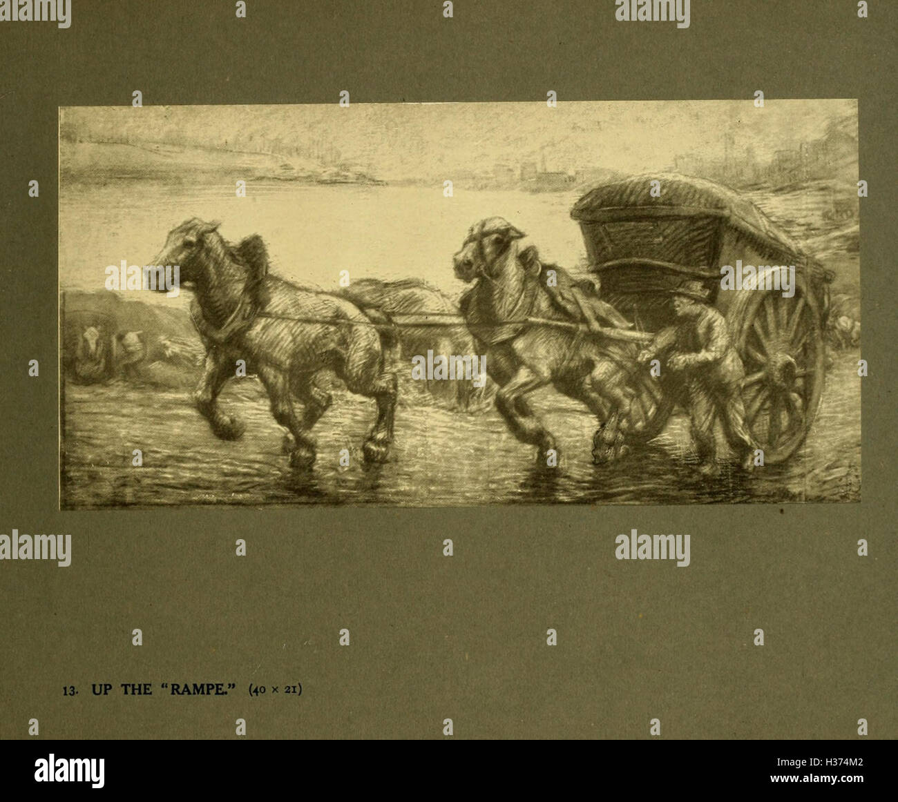 This plate illustrates the various gaits and movements of horses ...