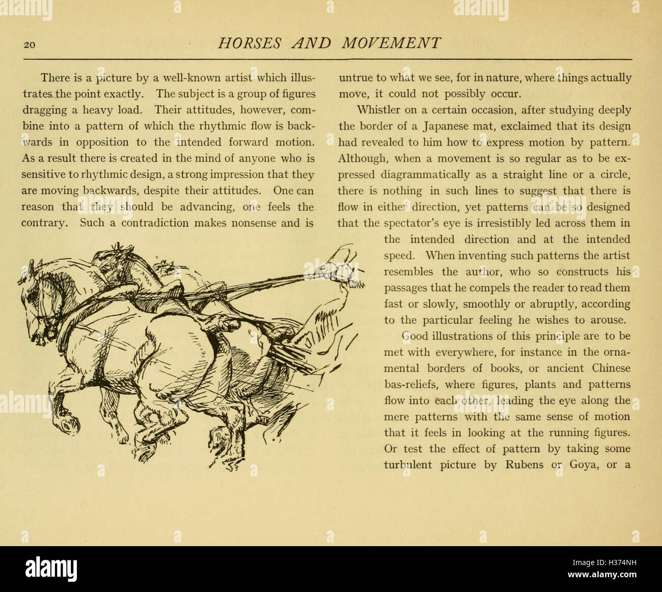 Equine biomechanics hi-res stock photography and images - Alamy