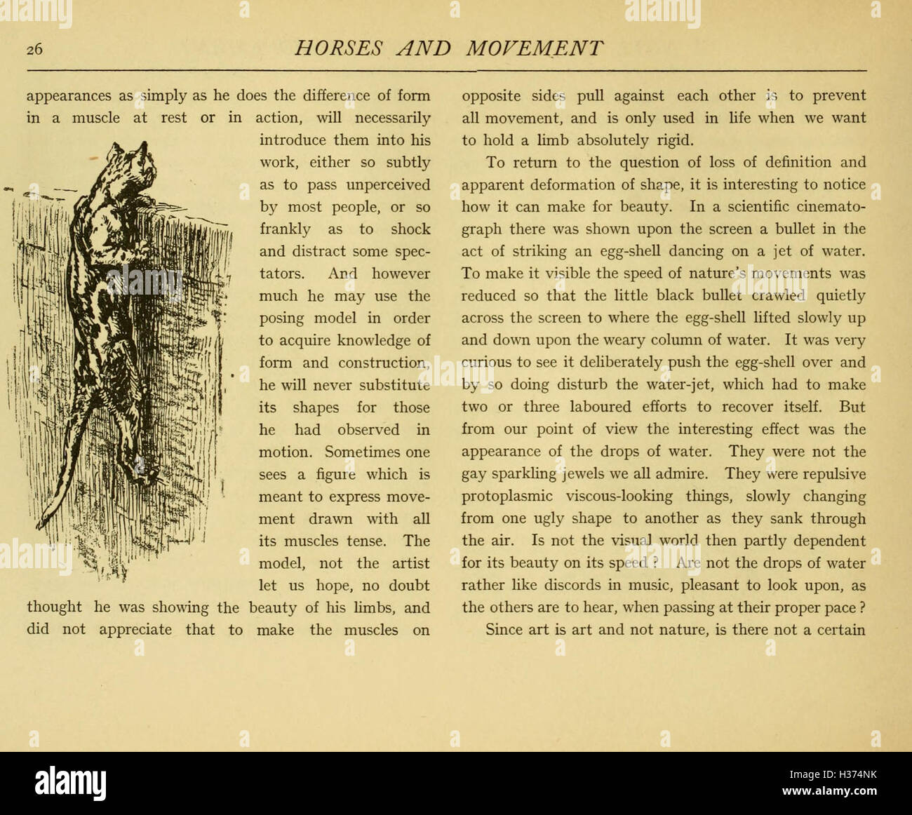 'Horses and Movement' examines the biomechanics of horse movement ...