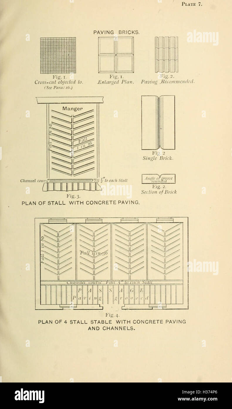 An overview of horse care and stable management, including practical ...