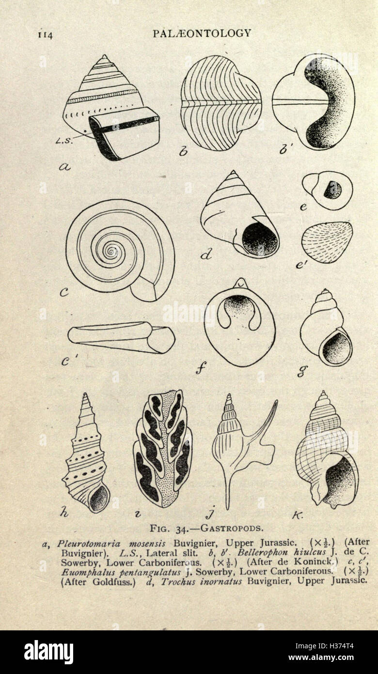 This introduction to paleontology provides a comprehensive overview of ...