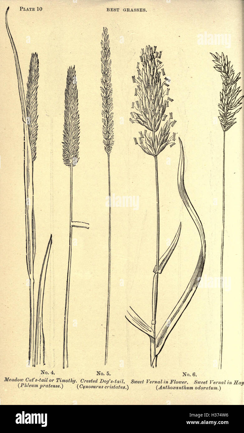 This guide covers the essentials of stable management, including the ...