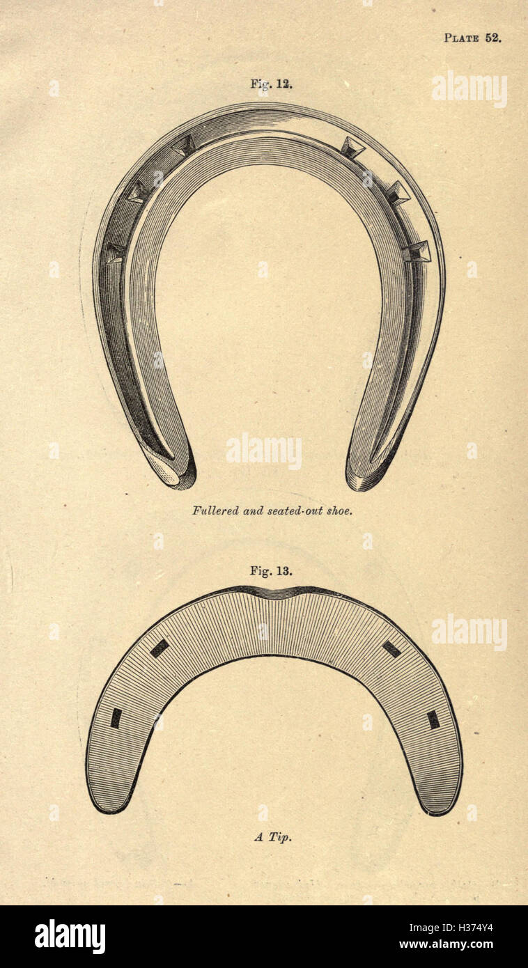 This text discusses the construction, care, and management of stables ...