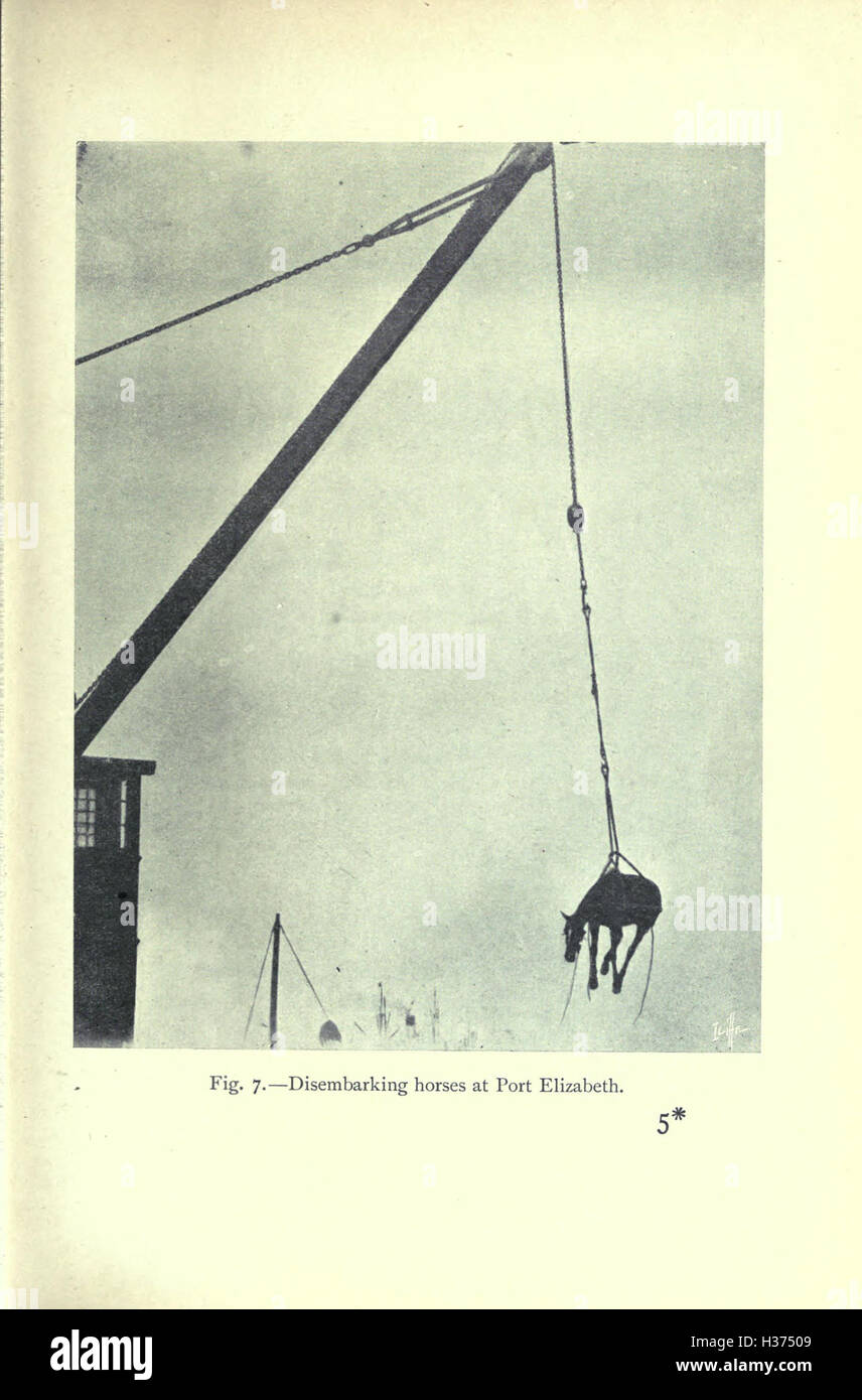 This work examines the history and methods of transporting horses ...