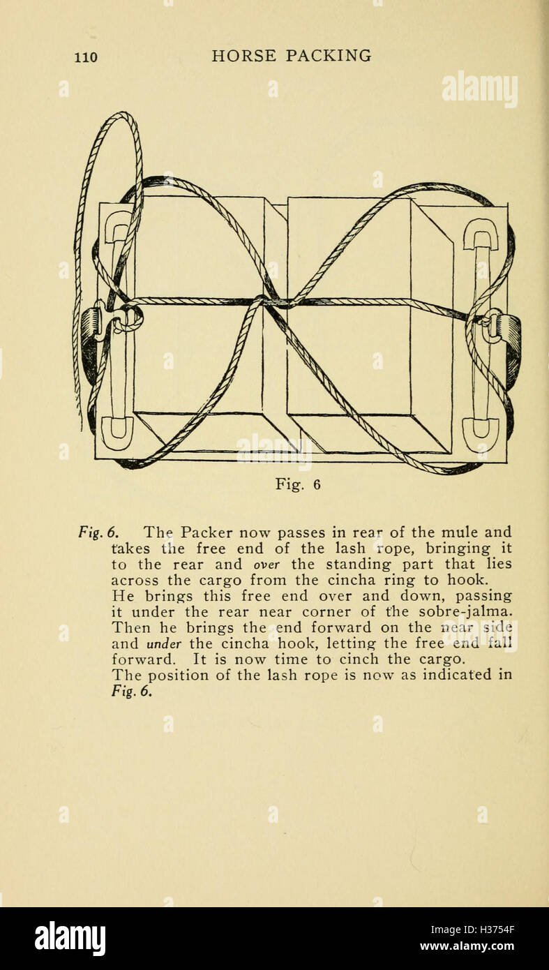 This guide explores the techniques and tools used in horse packing, a ...
