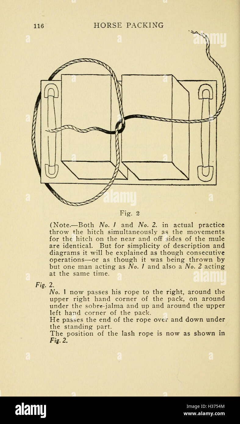 A guide to the practice of packing horses for transportation, focusing ...
