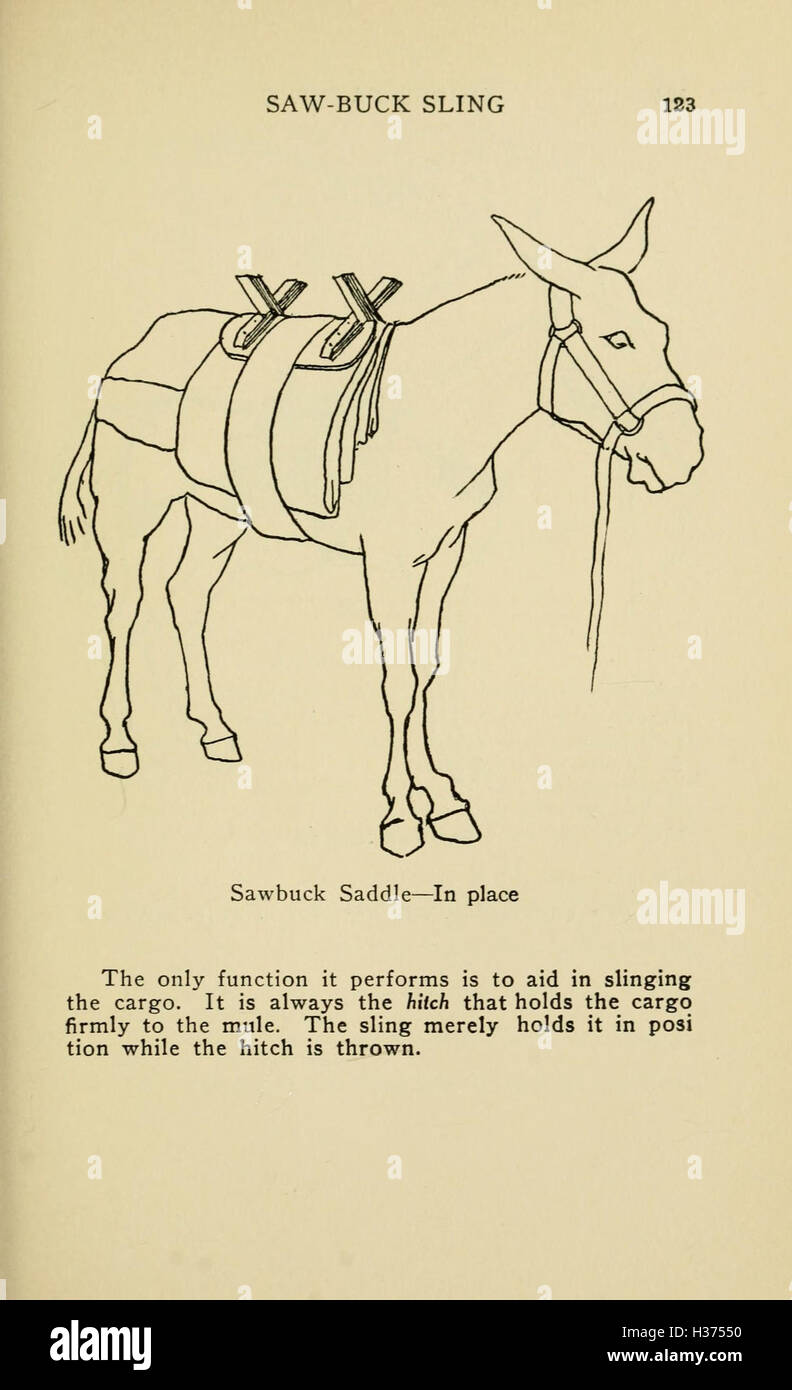 This guide offers practical instructions on packing horses for ...