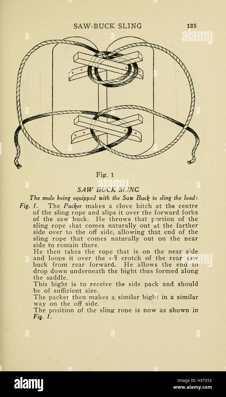 This guide explores the practice of horse packing, providing practical ...