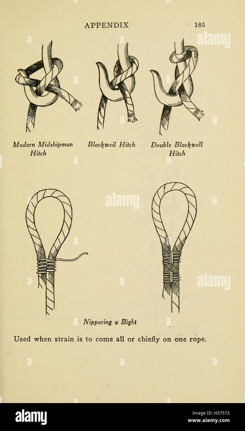 This guide covers the techniques and equipment involved in horse ...