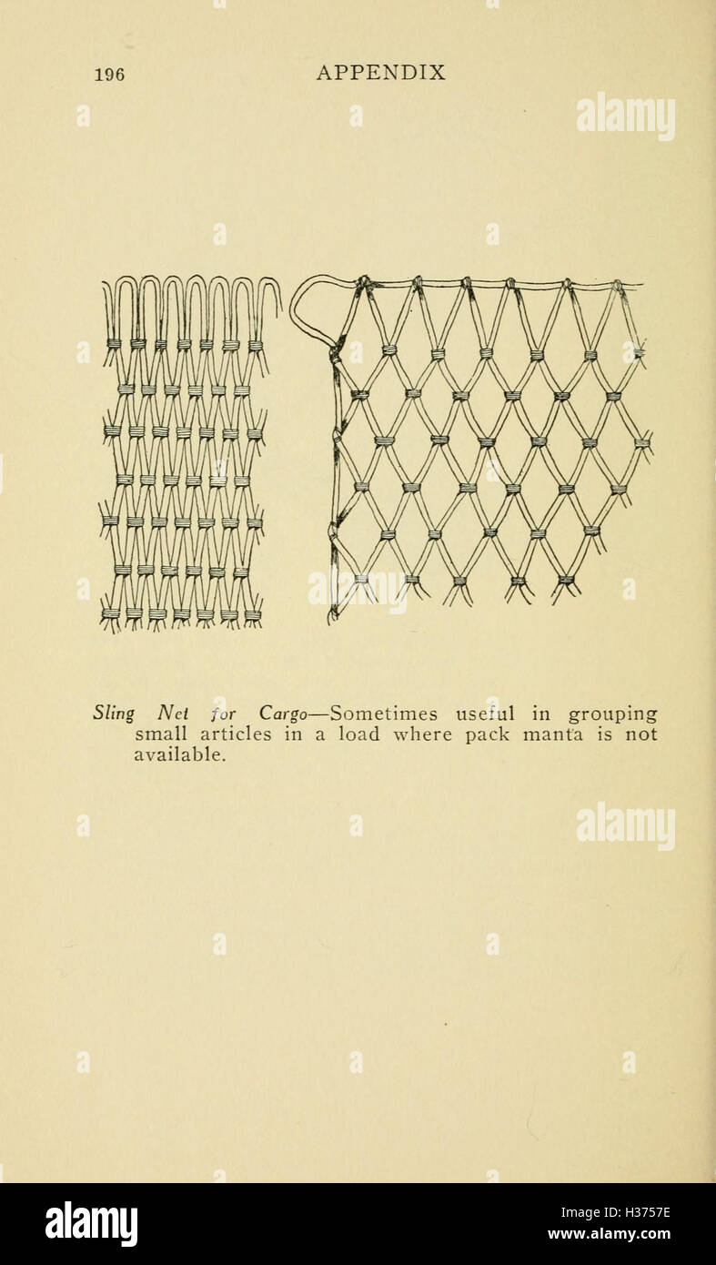 This section discusses the techniques and equipment used in horse ...