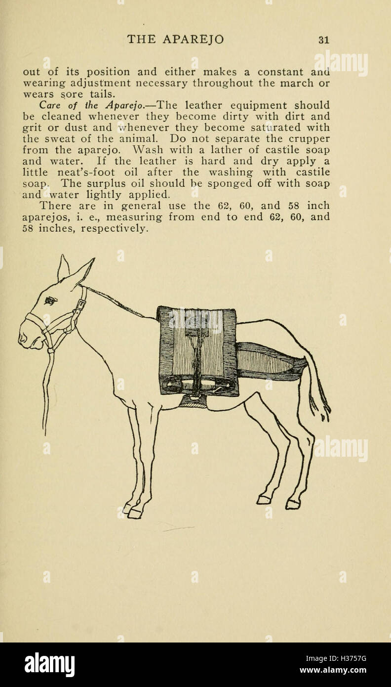 The practice of horse packing, which involves using horses to carry ...