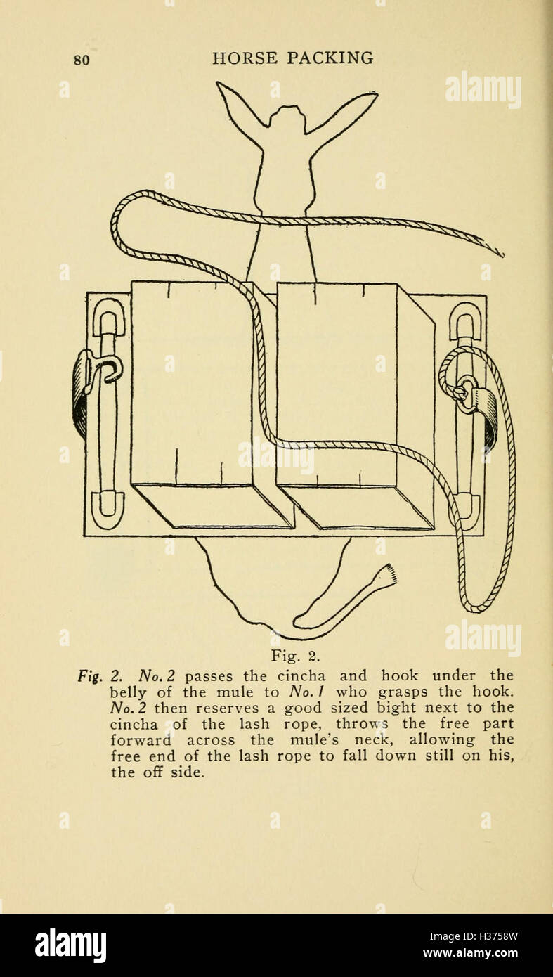 This guide covers the practice of horse packing, detailing techniques ...
