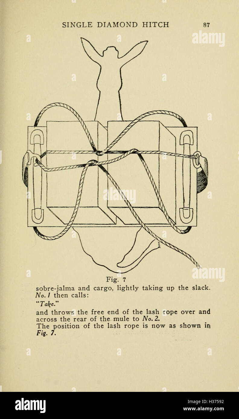 A guide to horse packing, detailing techniques and equipment used to ...