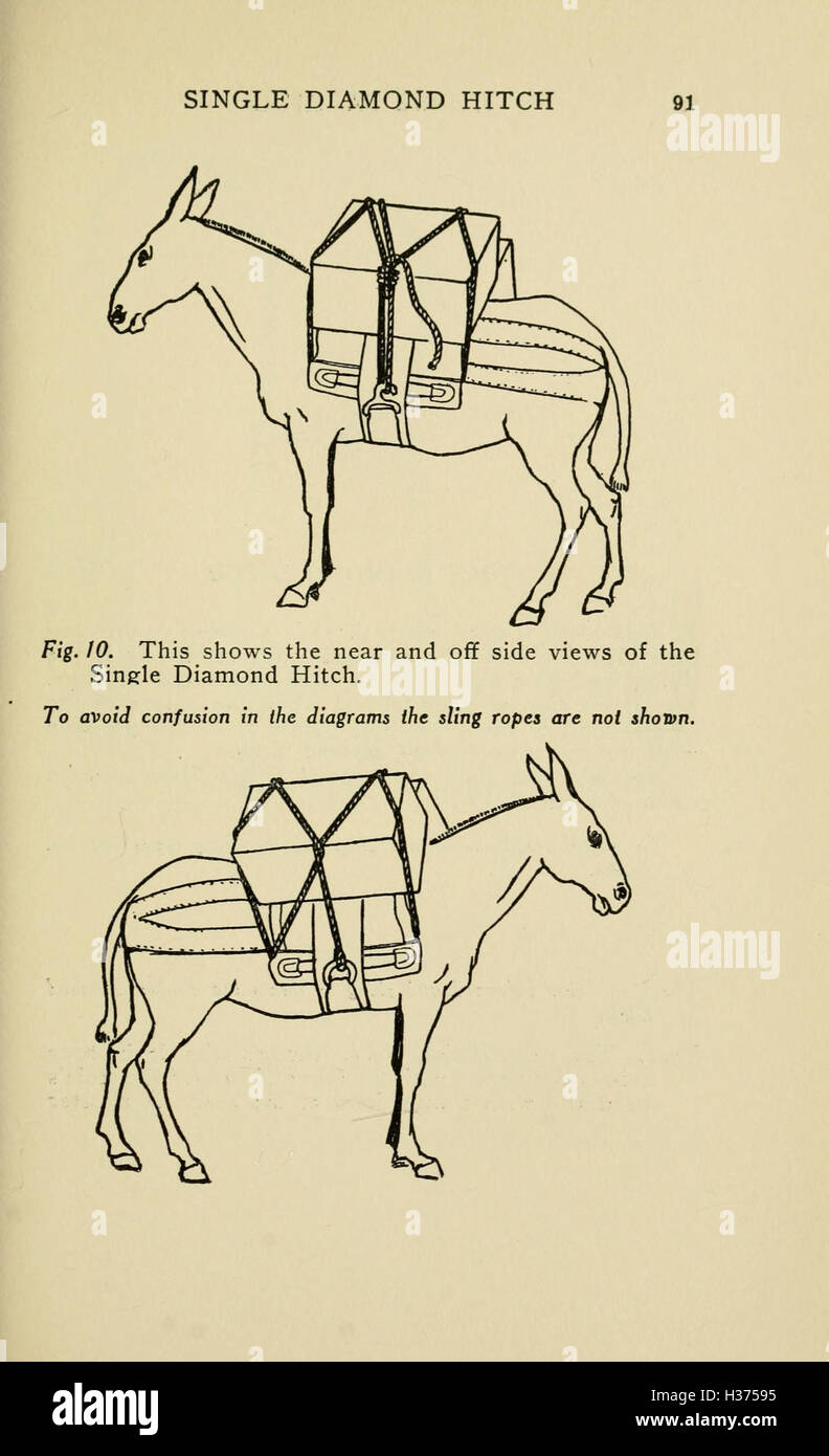 A practical guide to horse packing, focusing on techniques and ...