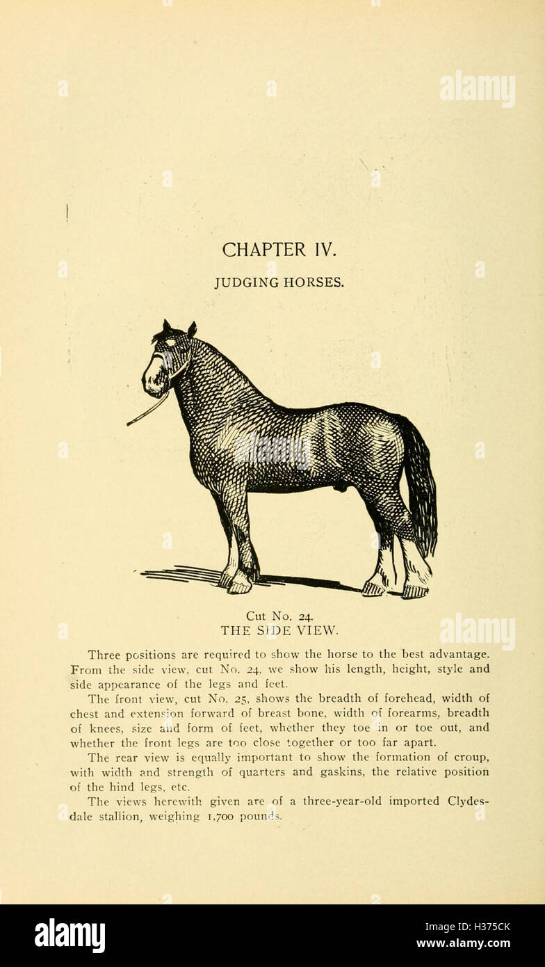 A detailed study of equine behavior and care, discussing various horse ...