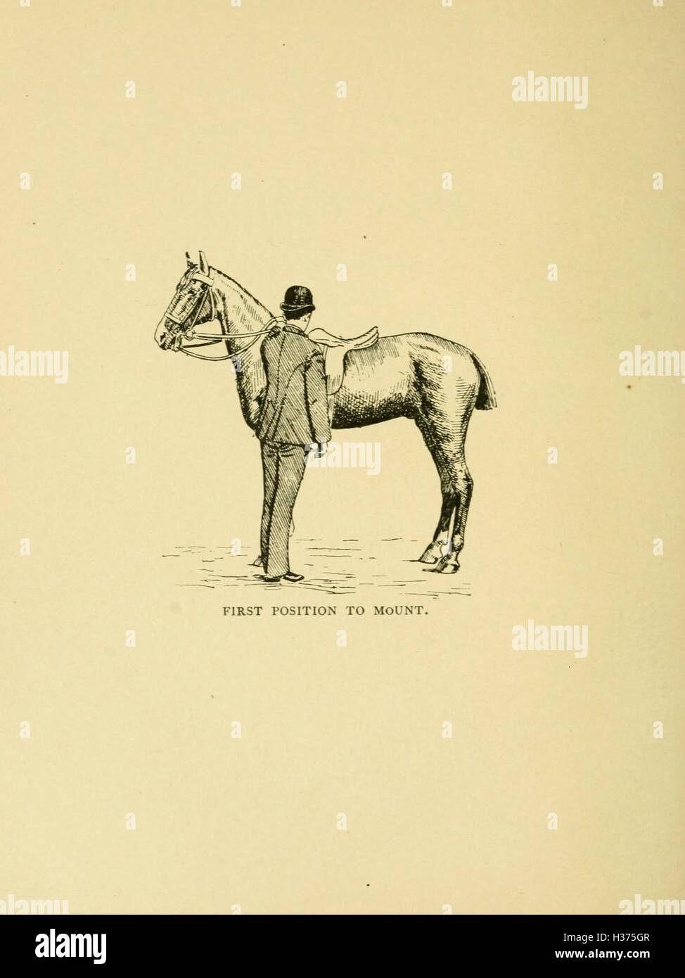 This guide provides instructions and techniques for horse riding ...