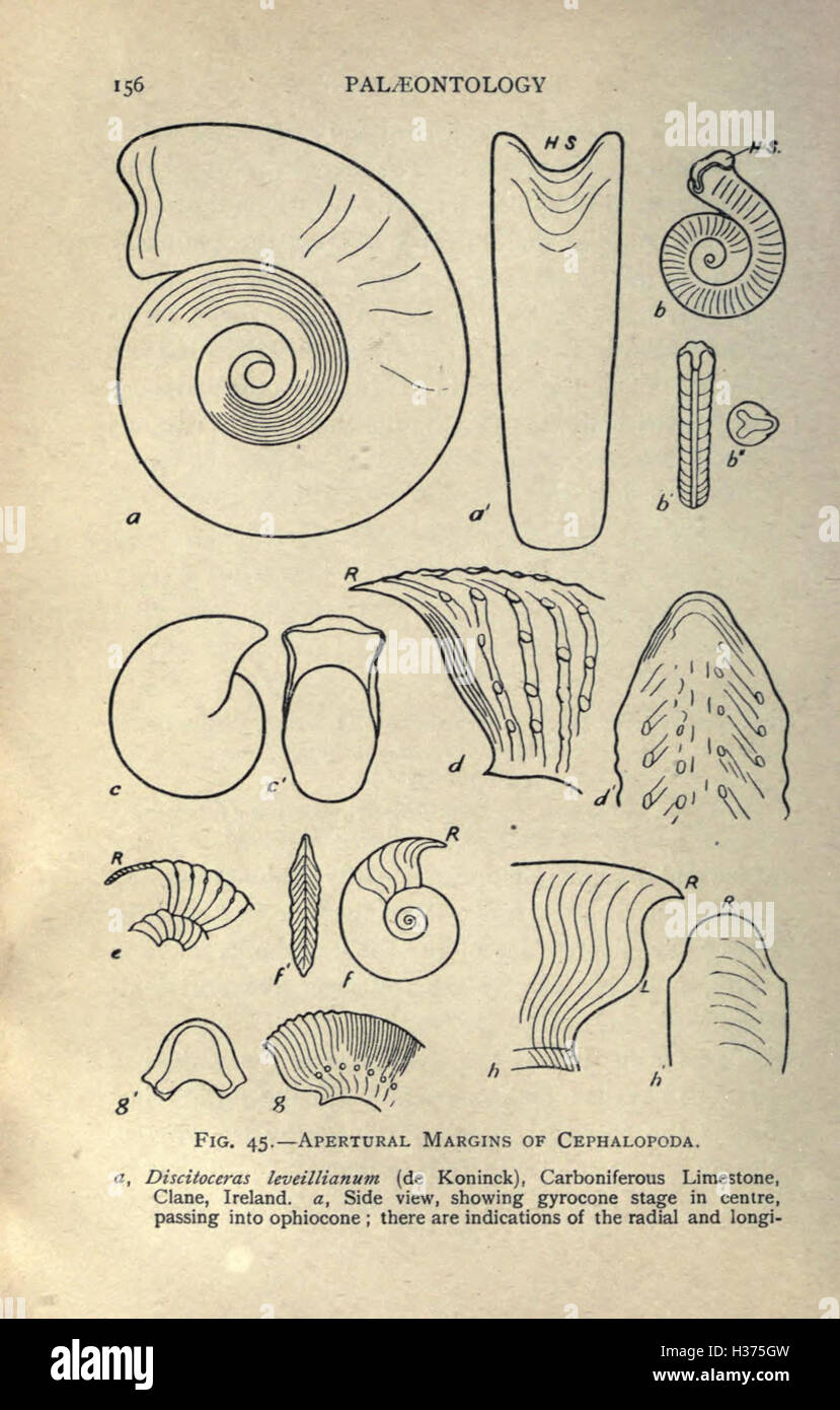 This introductory text on paleontology covers the fundamentals of ...