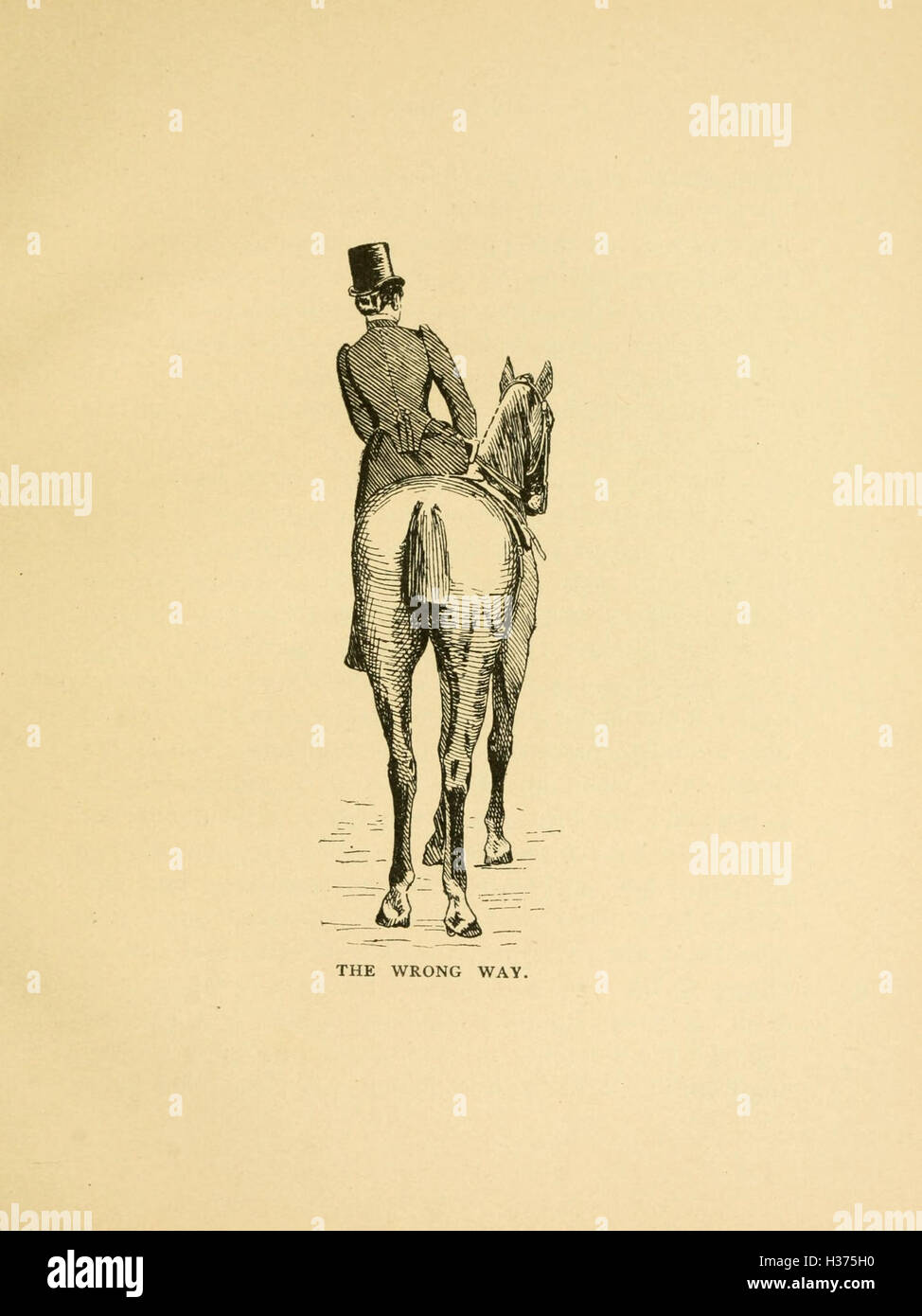 This guide provides instruction on proper riding techniques, covering ...