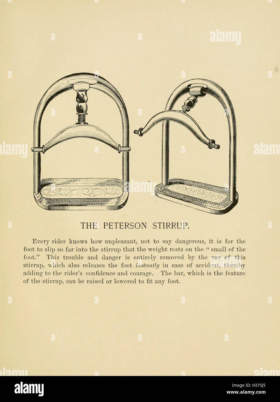 This guide provides essential instructions on horseback riding ...