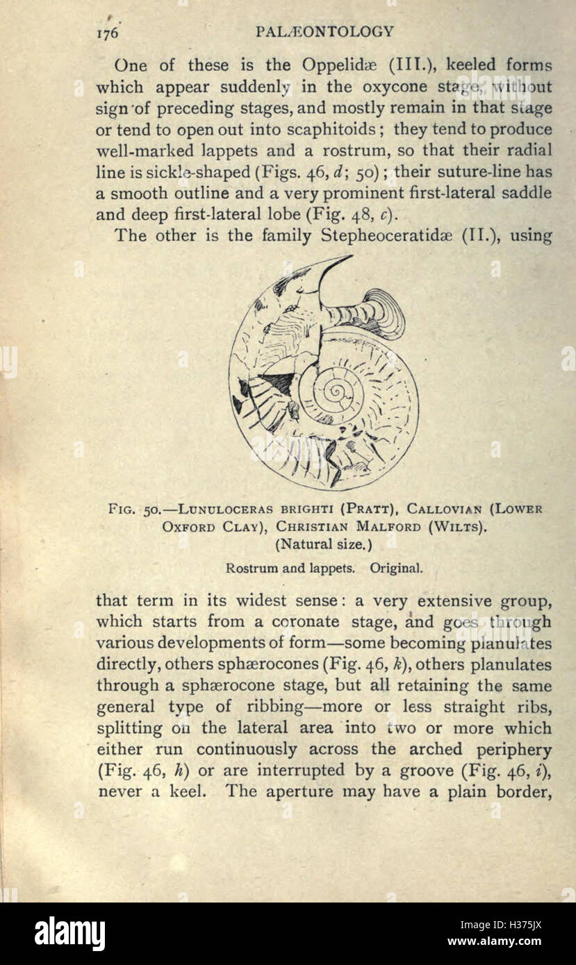 This introductory guide to paleontology covers the fundamental ...