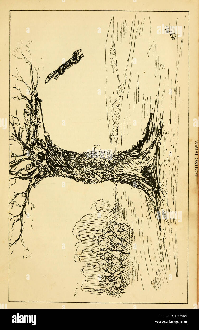 Events 1885 hi-res stock photography and images - Alamy