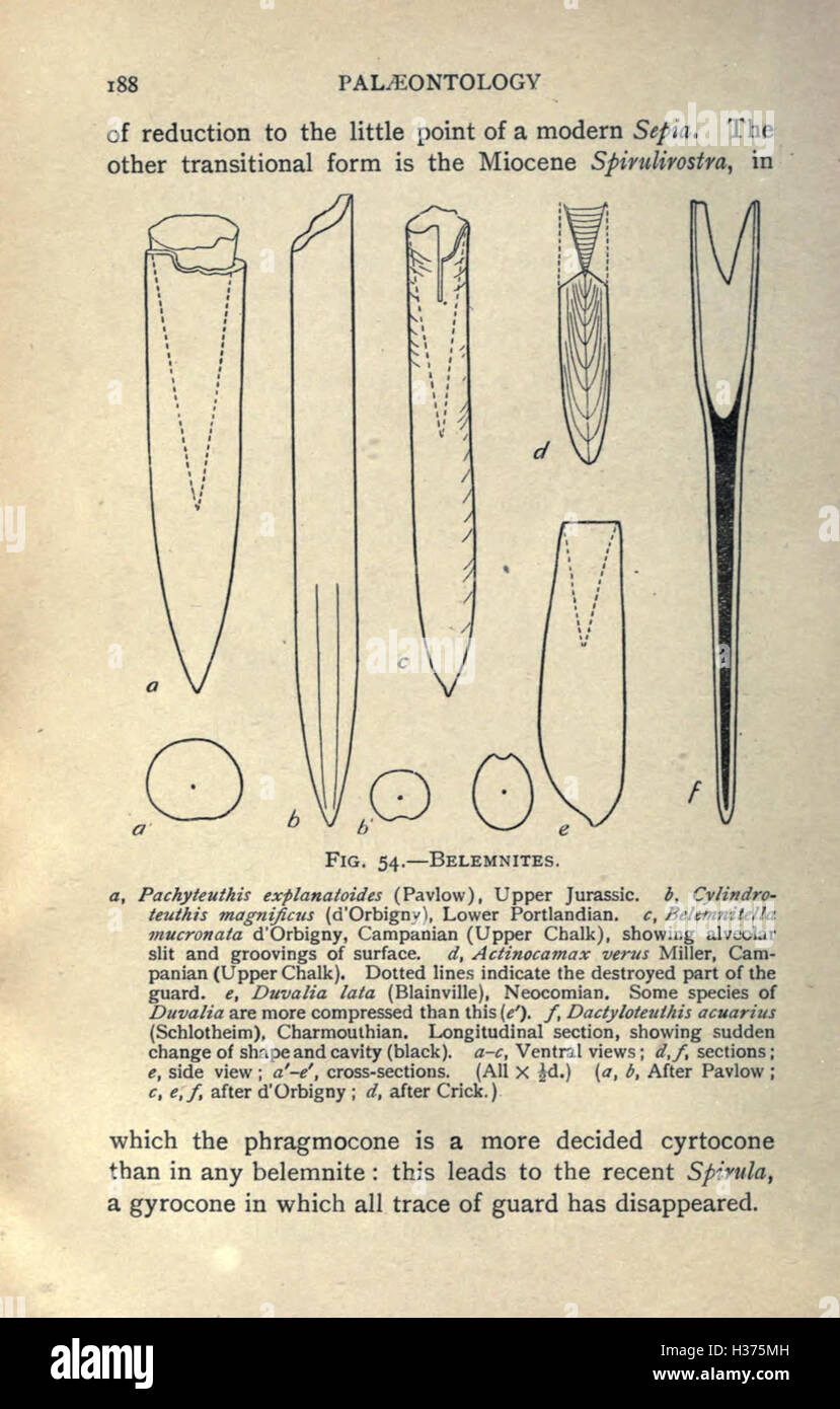 This introduction to paleontology offers an overview of the study of ...