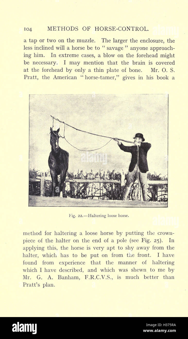 An illustrated guide to horse-breaking techniques, focusing on methods ...