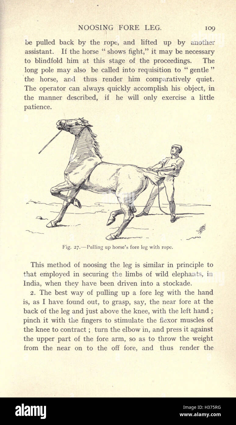 This illustrated guide provides techniques for training and breaking ...