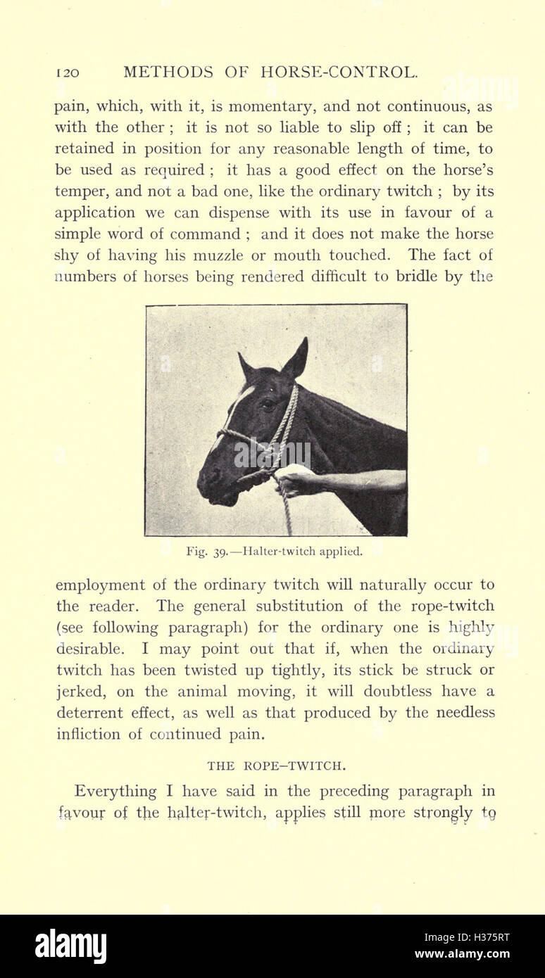 Illustrated guide on horse hi-res stock photography and images - Alamy