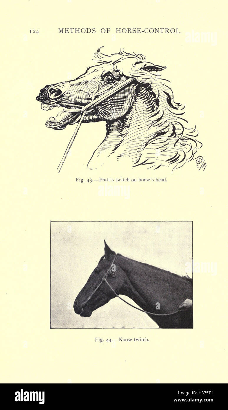 An illustrated guide to horse-breaking techniques, focusing on methods ...
