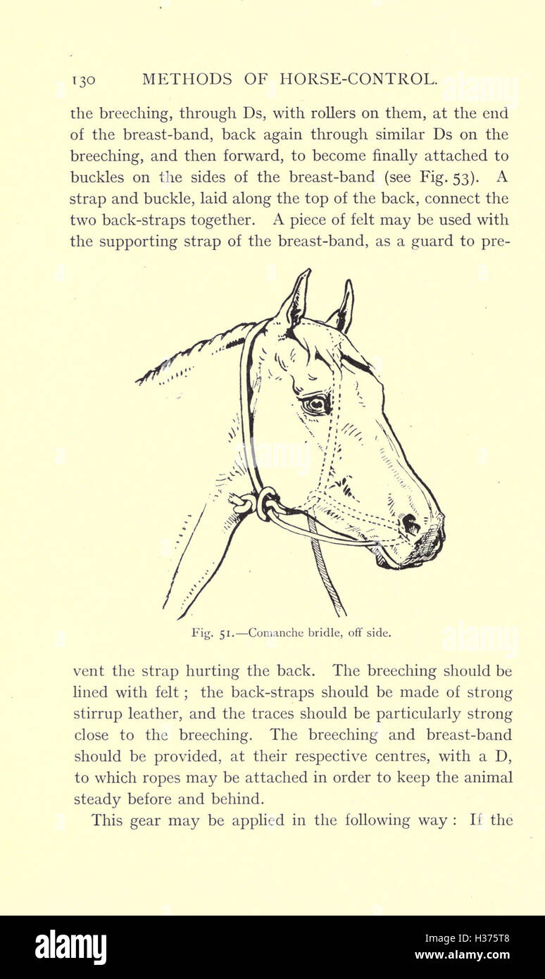 This work provides an illustrated guide to horse-breaking techniques ...