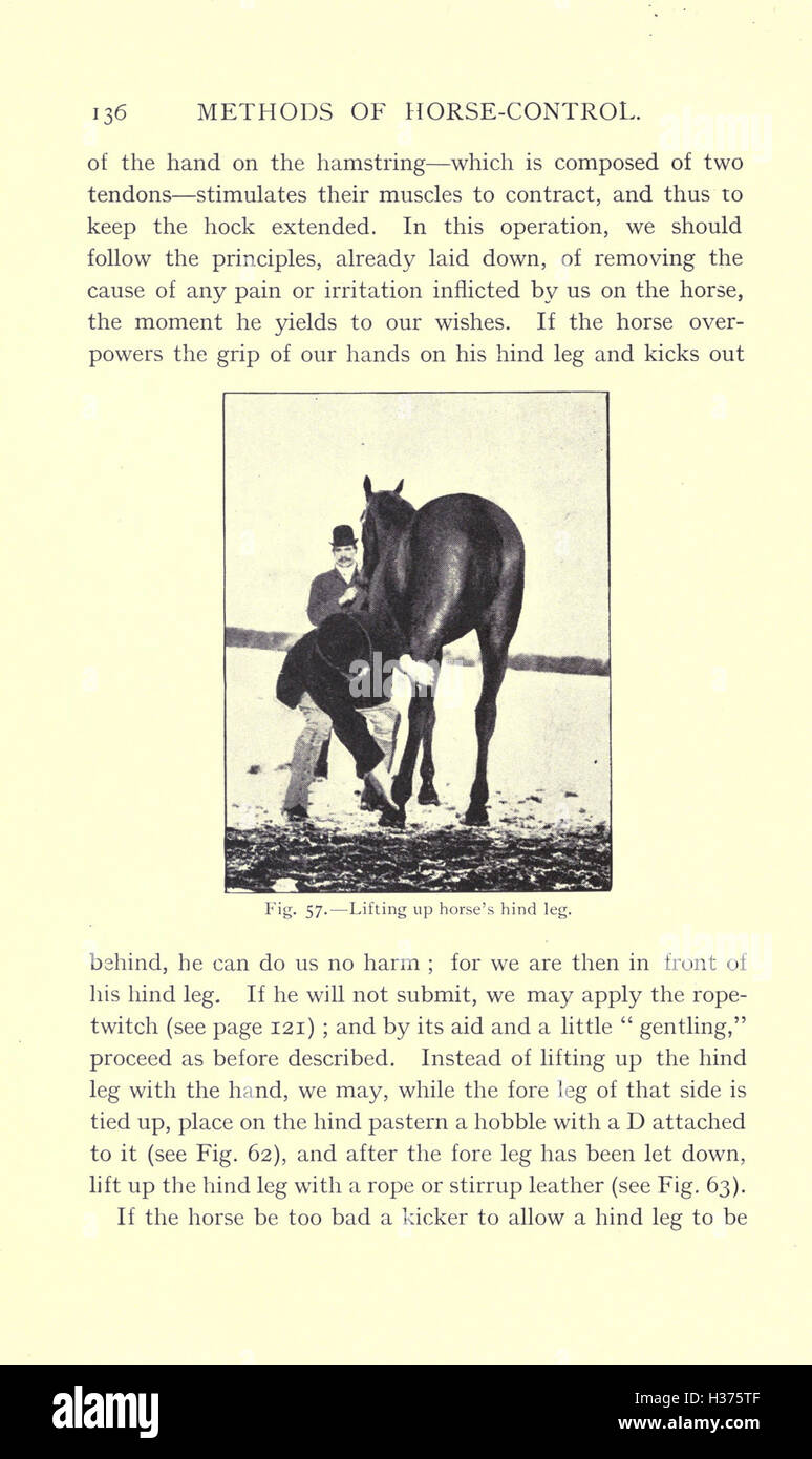 This illustration provides a visual guide to the practice of horse ...