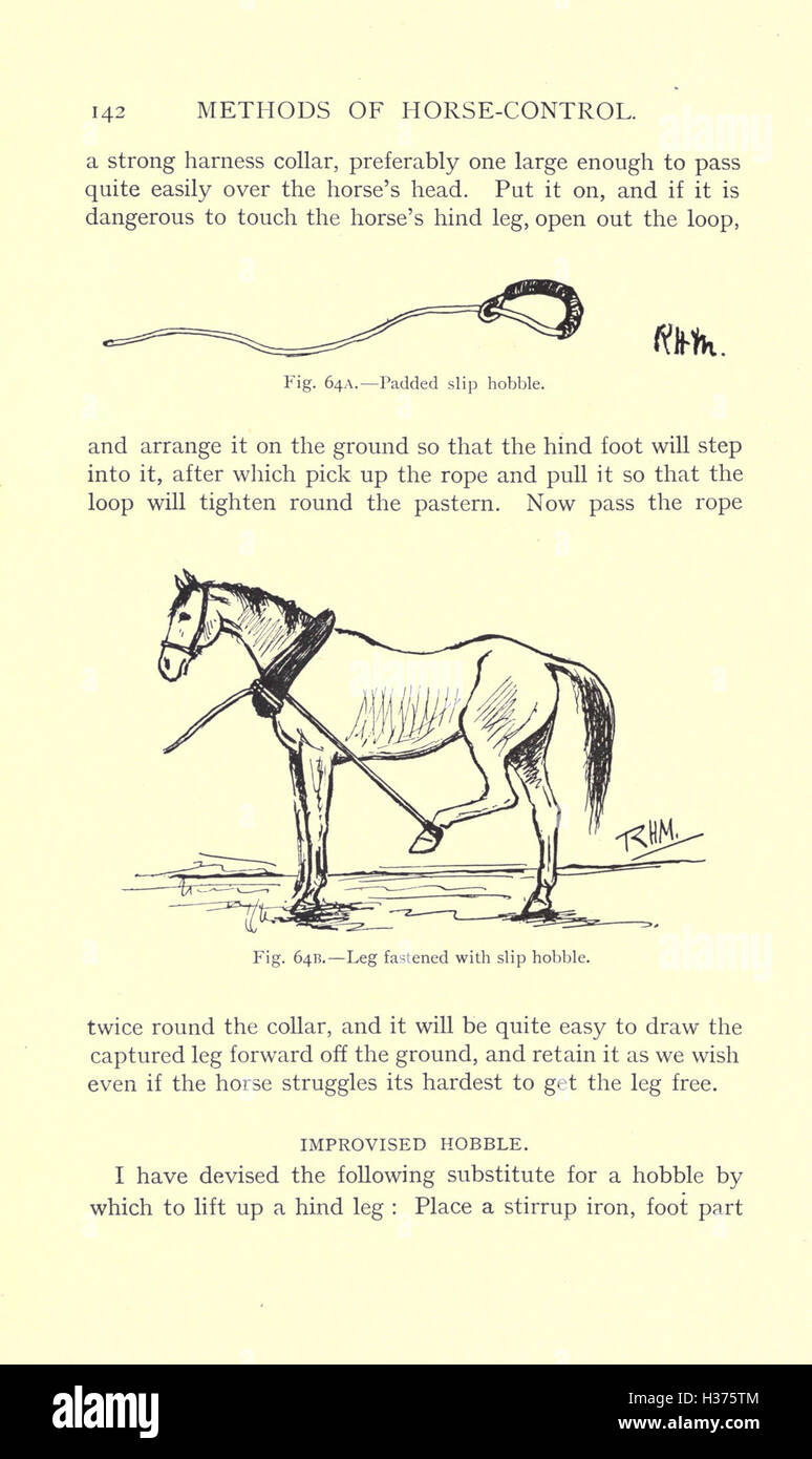 This illustrated guide on horse-breaking provides techniques and ...