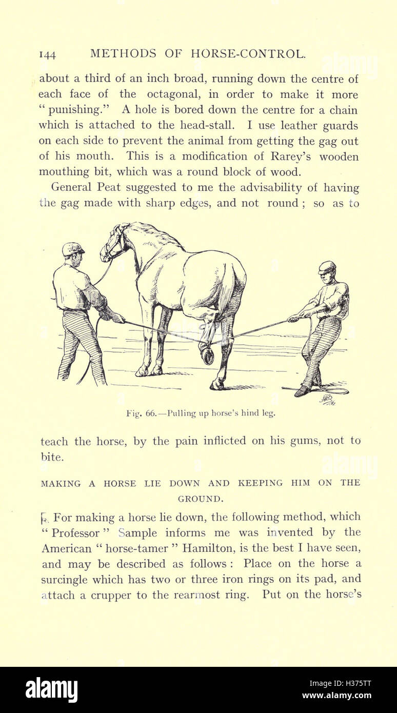 Equestrian methods hi-res stock photography and images - Alamy