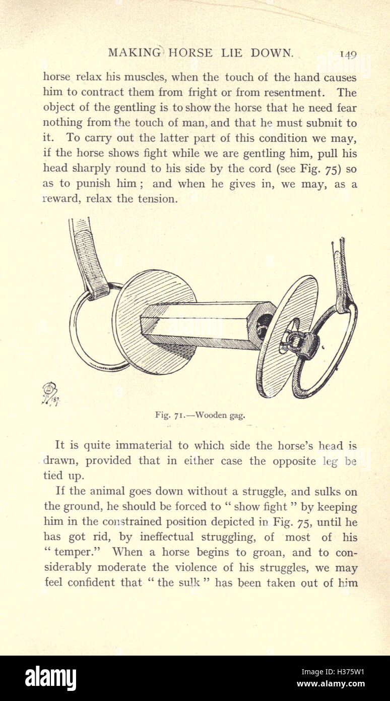 Illustrated guide on horse hi-res stock photography and images - Alamy