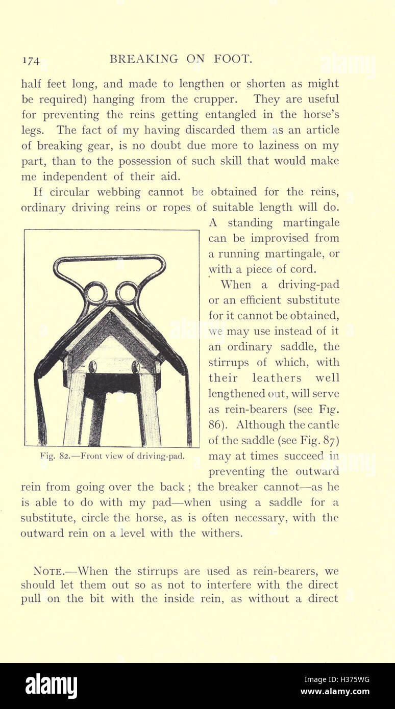 This guide presents visual instructions on the practice of horse ...
