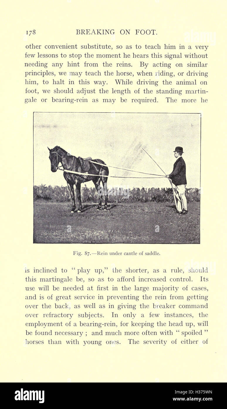 An instructional guide on the techniques of horse-breaking, with ...