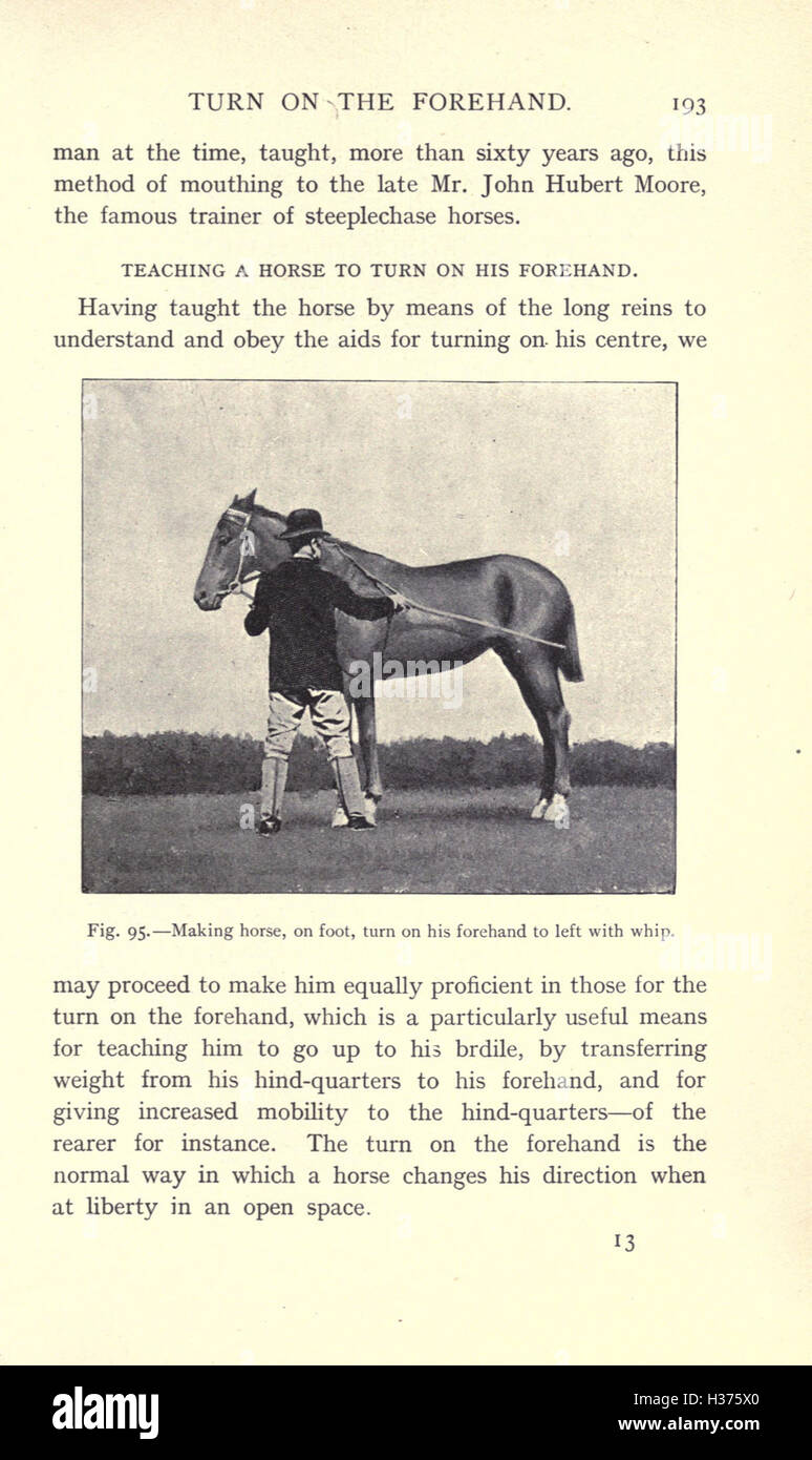An illustrated guide to horse-breaking, focusing on methods for ...